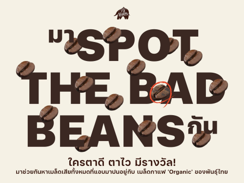 พี่ไทชวนเพื่อนตาดีมาเล่นเกม ‘Spot The Bad Beans’ กัน
